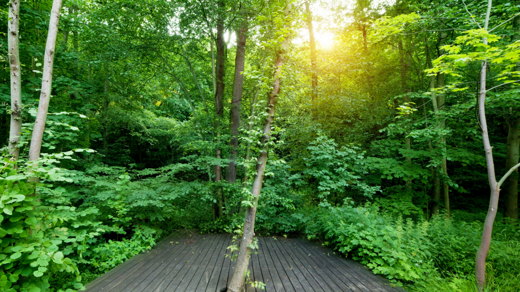 Psychotherapy, CBT, Counselling & Life Coaching Loughborough ...